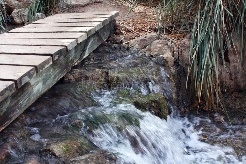 Bridge through the stream stock photo. Image of drop - 11834714