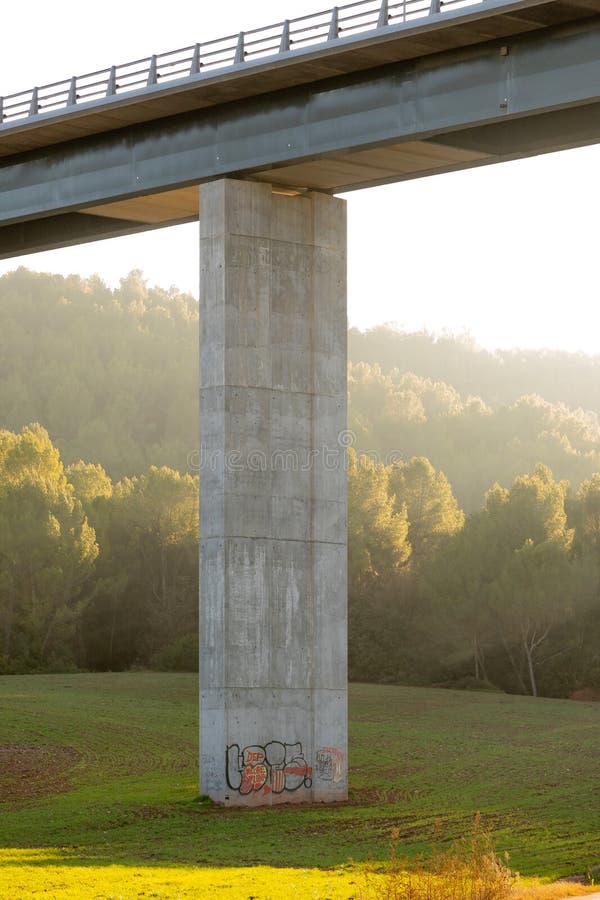 Bridge Structure from Underneath with Background Forest Stock Image ...