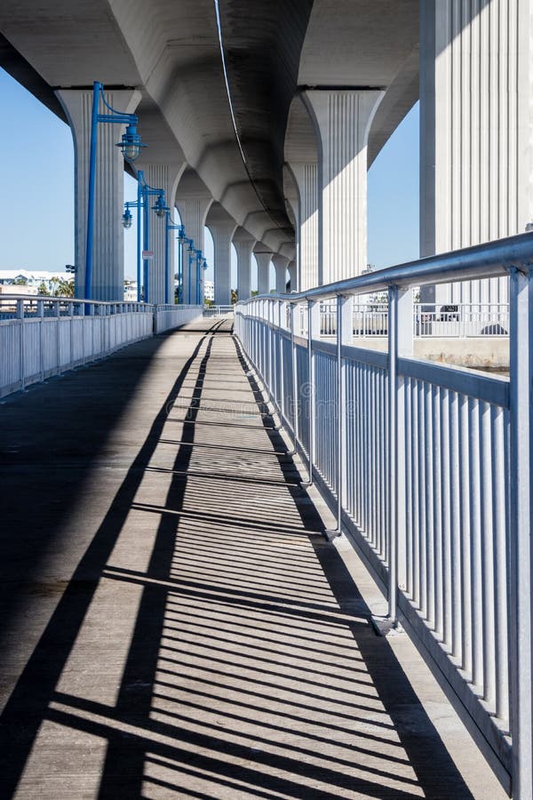 Pathway Under Concrete Bridge Picture. Image: 115550409