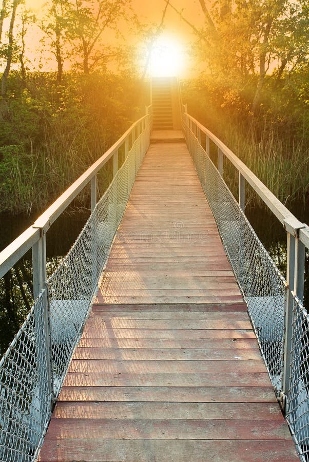 Bridge on a sunset stock image. Image of hide, road, nature - 9788843