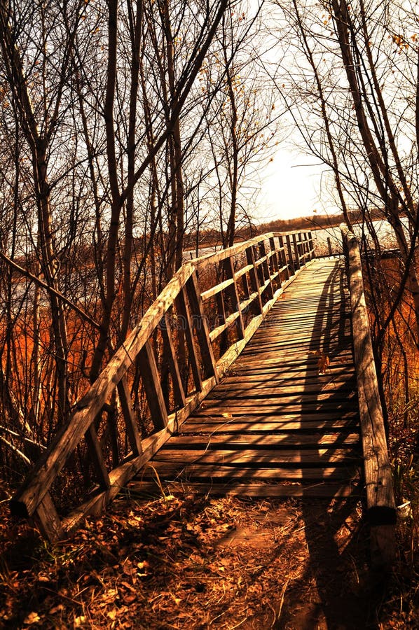 A bridge in the sunset stock image. Image of woodland - 220762321