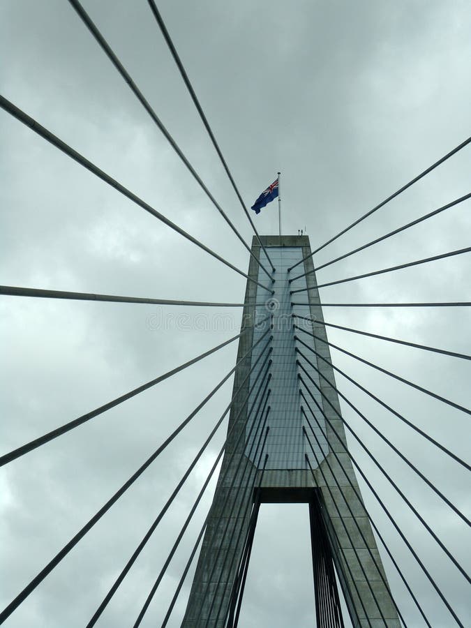 Bridge support cables stock image. Image of support, science - 1797695