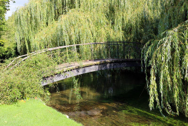 Bridge Surrounded by Weeping Willows Stock Image - Image of outdoors ...