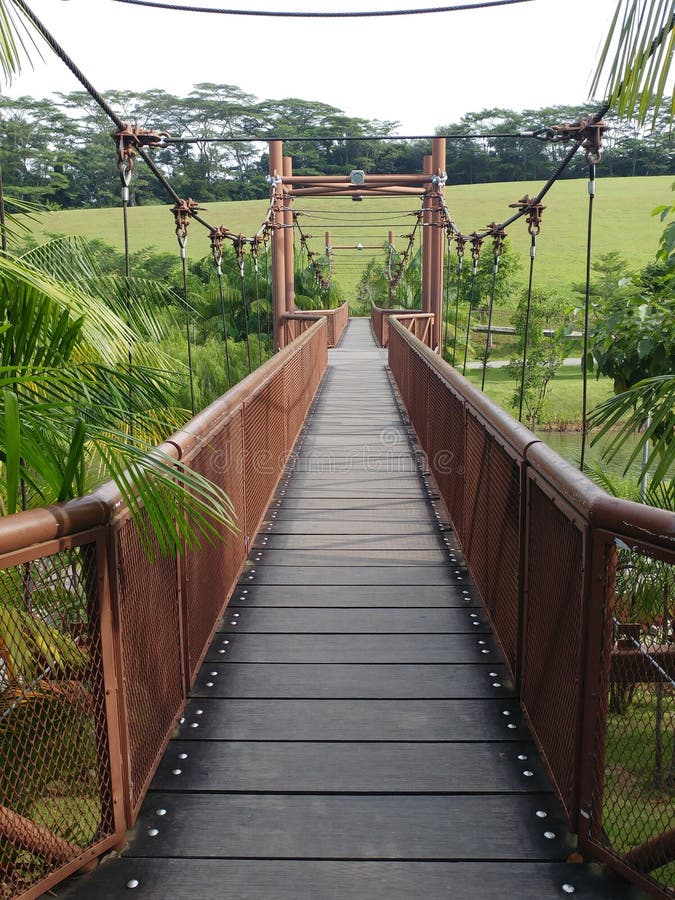Bridge, Suspension Bridge, Walkway, Path Picture. Image: 123399829