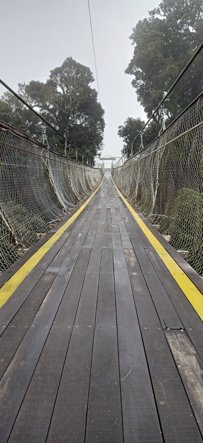 Bridge Suspention Rengganis Bandung West Java Stock Photo - Image of ...