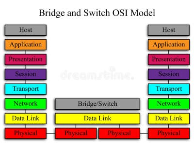 Bridge and Switch OSI Network Model Stock Illustration - Illustration ...