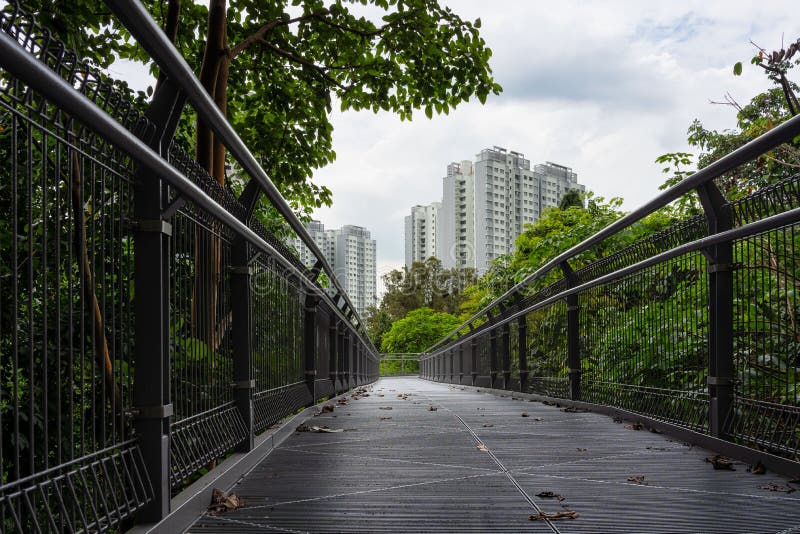 Bridge in the Telok Blangah Hill Park, Singapore Editorial Stock Photo ...