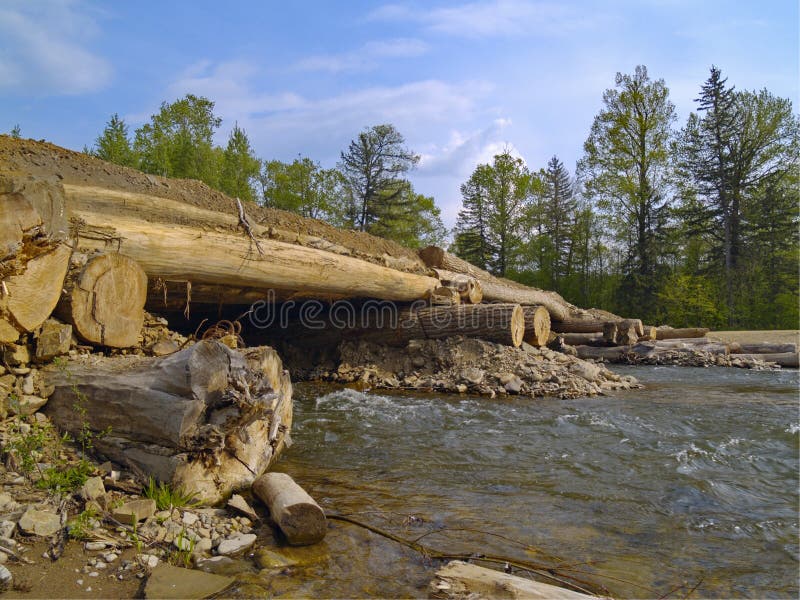 The Bridge through Timber River Stock Photo - Image of green, wood ...