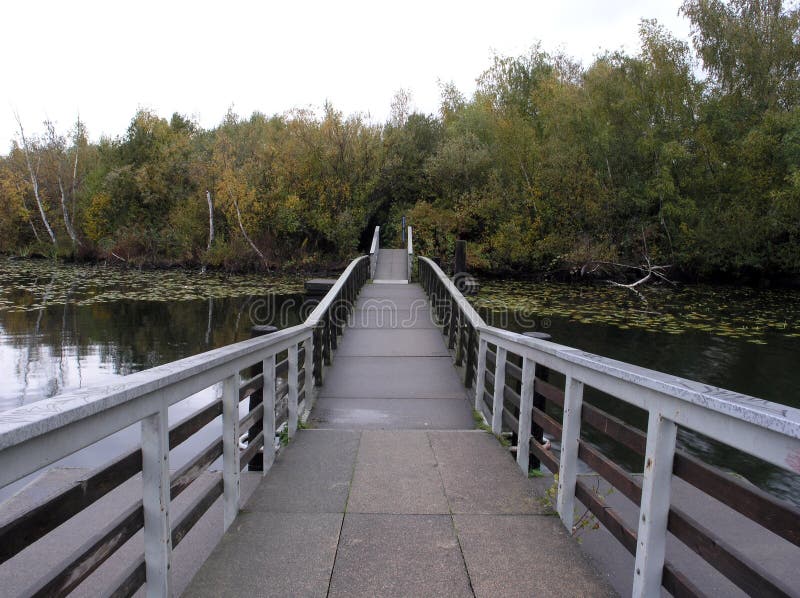 Bridge to Marsh Island stock image. Image of trees, northwest - 322699