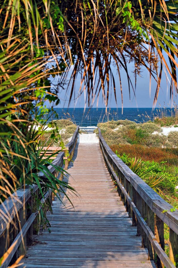 Bridge to the ocean stock photo. Image of light, color - 4606046