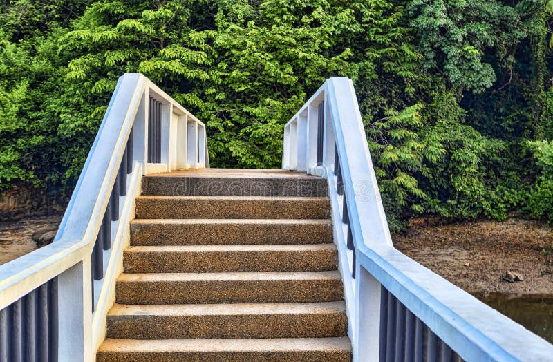 Bridge towards the green stock photo. Image of path - 117214046