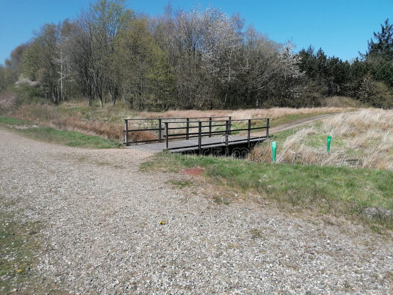 Bridge, Track in the Forest from Stones Stock Photo - Image of bridge ...