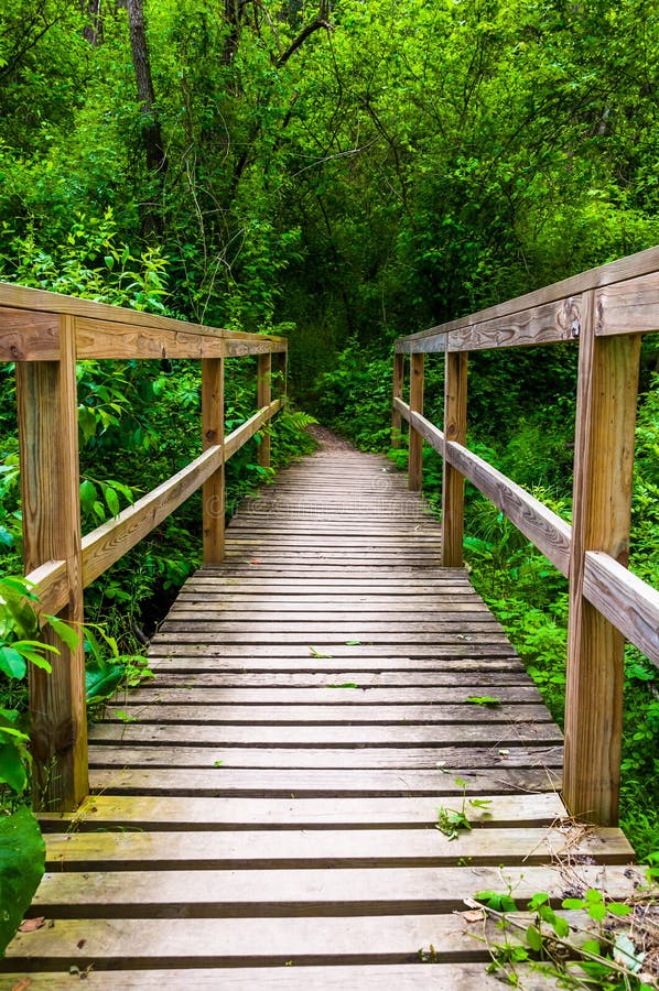 Bridge on a Trail through the Forest at Codorus State Park, Penn Stock ...