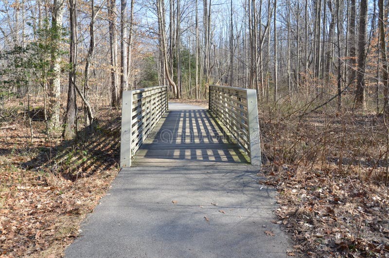Bridge and Trail or Path with Trees in Forest Stock Photo - Image of ...