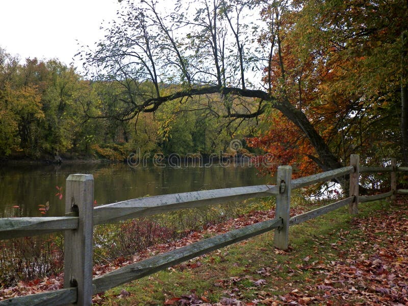 Bridge Tree stock image. Image of bridge, foliage, branches - 45962035