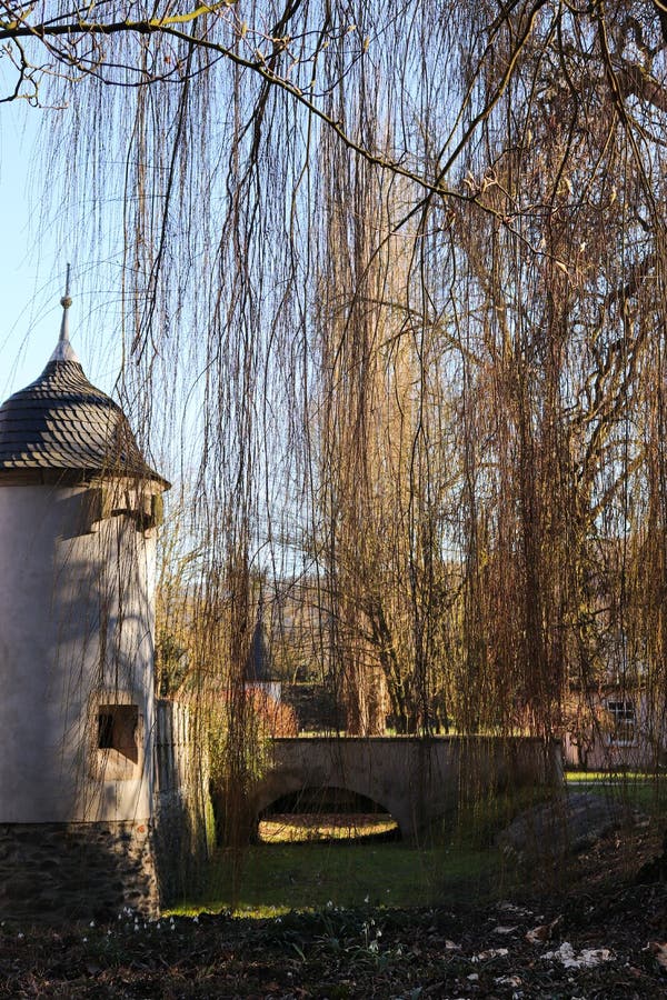 Bridge and Tree Behind Namedy Castle Editorial Stock Photo - Image of ...