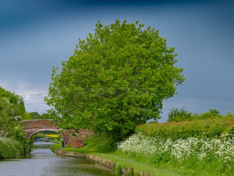 Bridge with tree stock image. Image of travel, bridge - 111456629