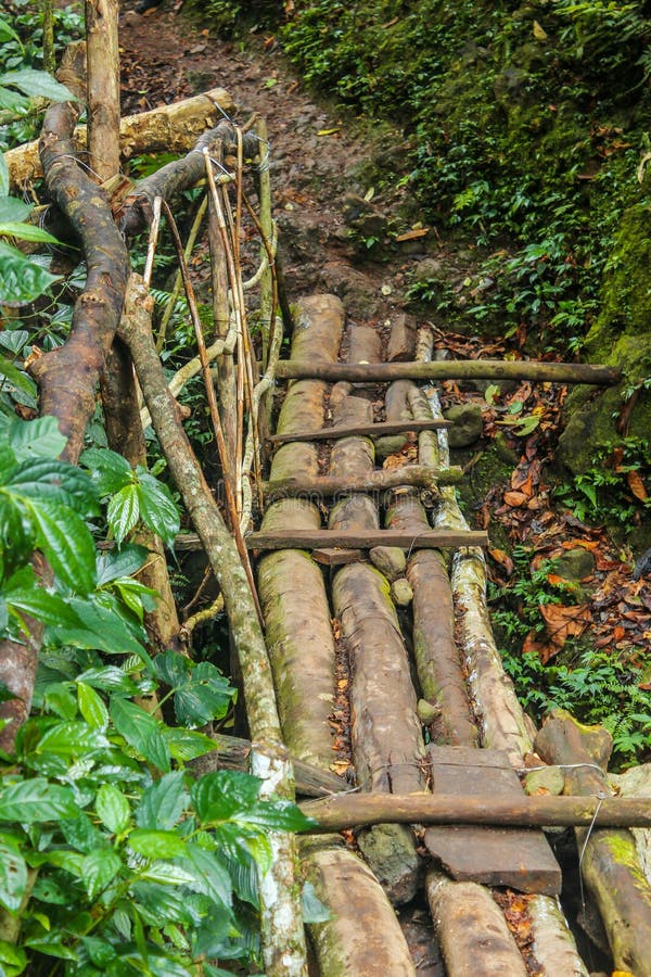 The bridge stock image. Image of java, indonesia, central - 96743173