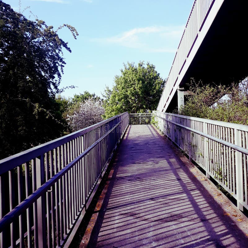 The Bridge from a Tree with a Handrail Stock Image - Image of coast ...