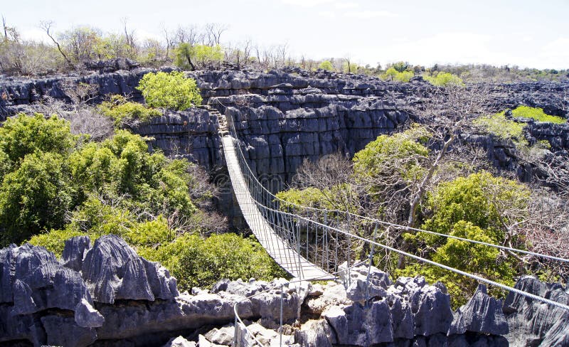 Bridge, Tsingy, Ankarana Special Reserve, Madagascar Stock Image ...