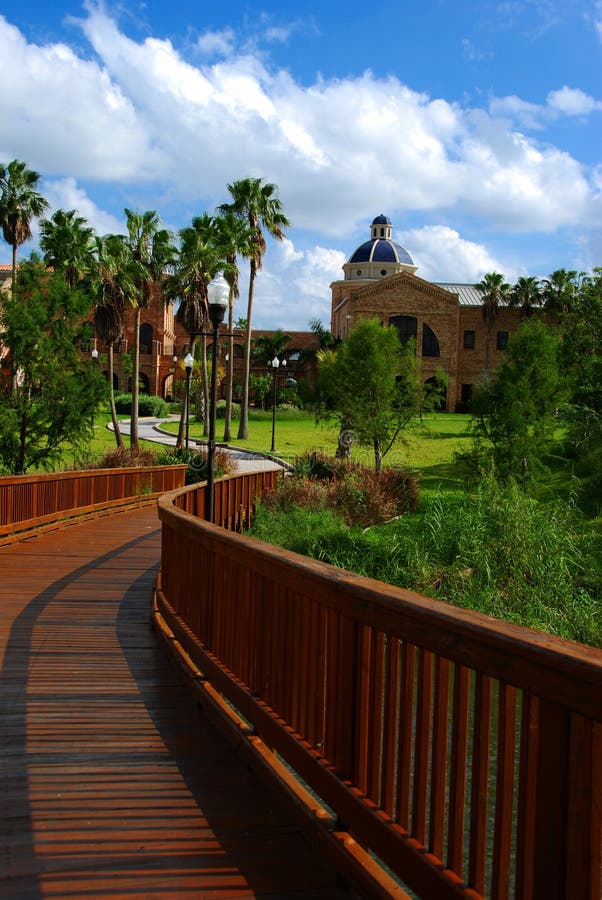 A Bridge in University Campus Stock Image - Image of professional ...