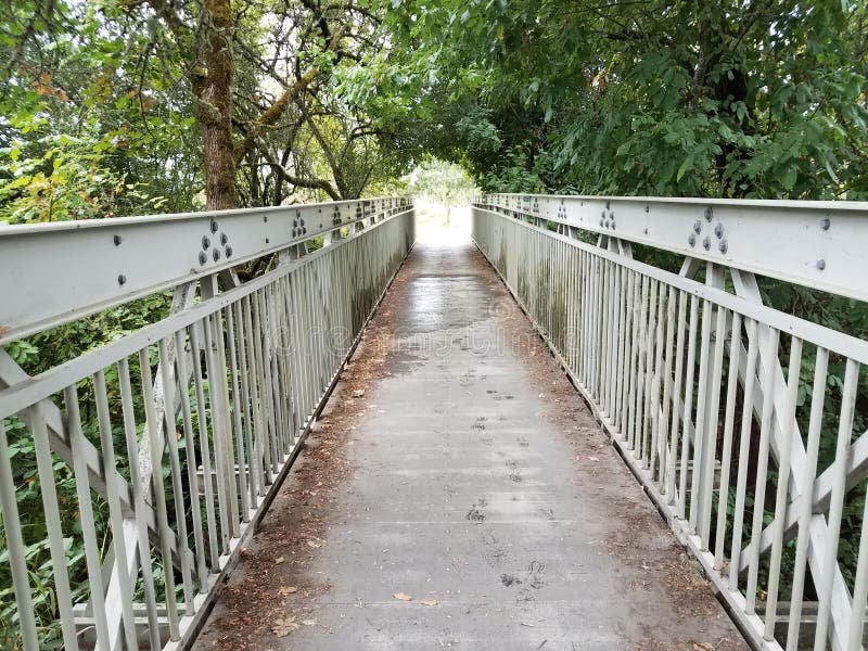Bridge Walkway or Path with Railing and Brown Leaves Stock Photo ...