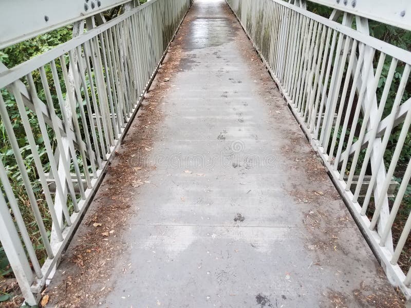 Bridge Walkway or Path with Railing and Brown Leaves Stock Image ...