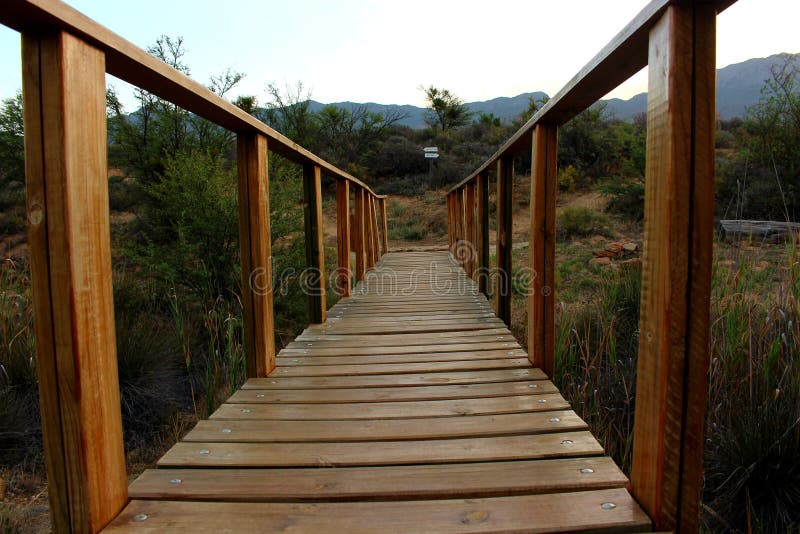 Bridge stock photo. Image of bridge, africa, trail, walkway - 141434704