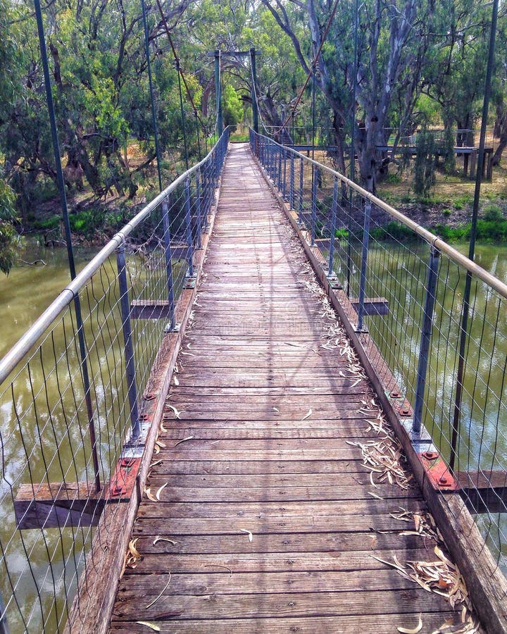 Bridge Water Forrest River Outback Stock Image - Image of hike, river ...