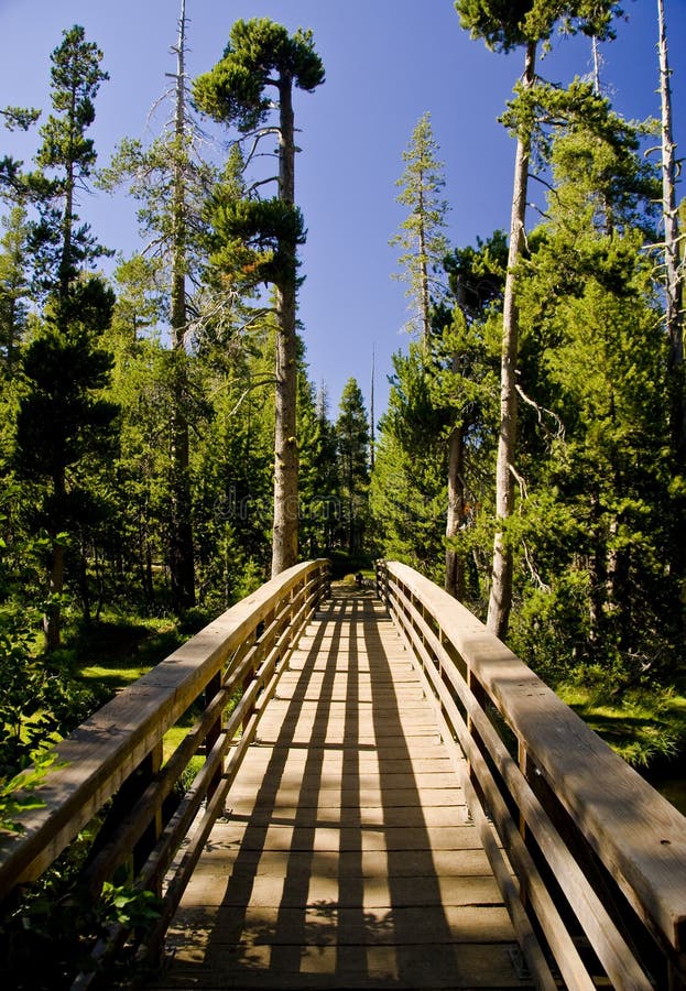 Bridge into the Wilderness stock image. Image of mountains - 3066063