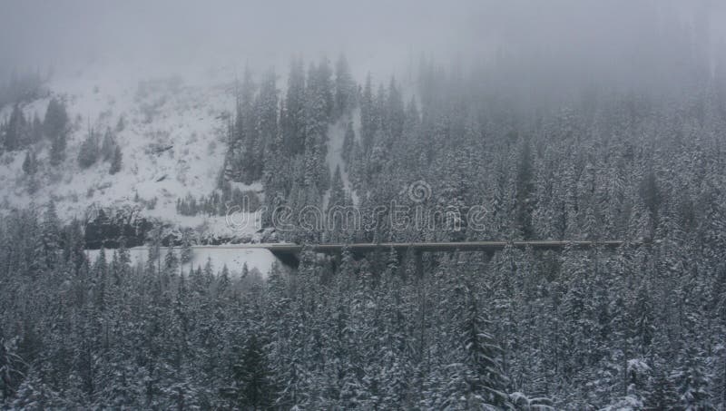 Bridge in Winter Snow Forest Stock Image - Image of forest, winter ...