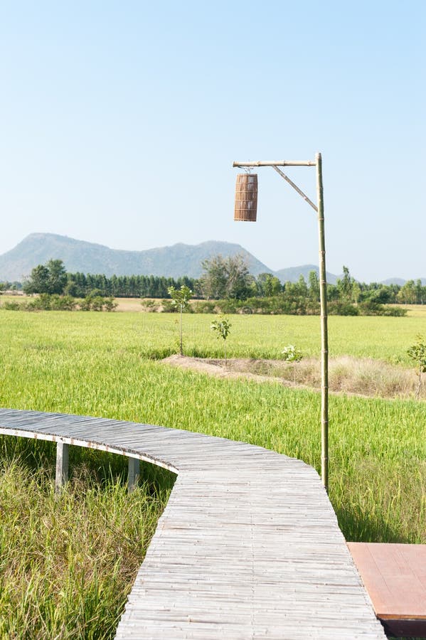 Bridges in the fields stock image. Image of view, tropical - 186011713