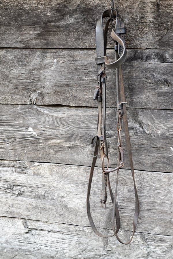 A bridle stock image. Image of hanging, equine, horse - 174771223