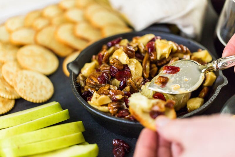 Brie cheese stock photo. Image of snack, appetizers, cranberry - 88433460