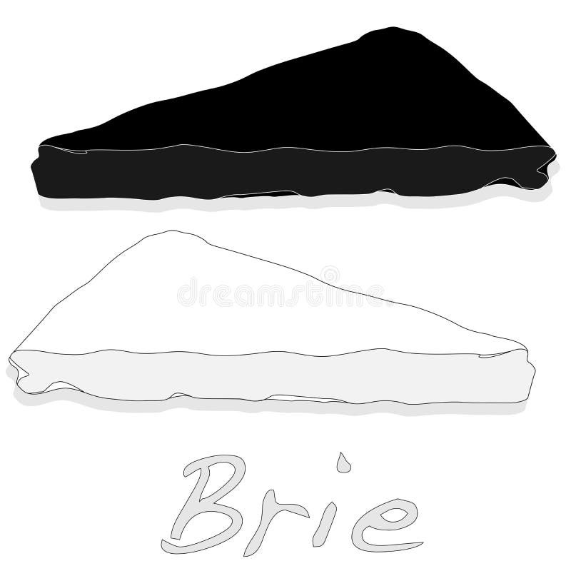 Brie Cheese Vector Isolated Stock Vector - Illustration of background ...
