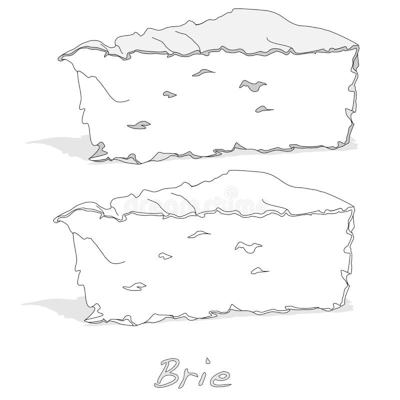Brie Cheese Vector Isolated Stock Vector - Illustration of delicious ...