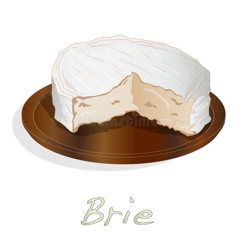 Brie Cheese Vector Isolated Stock Vector - Illustration of background ...