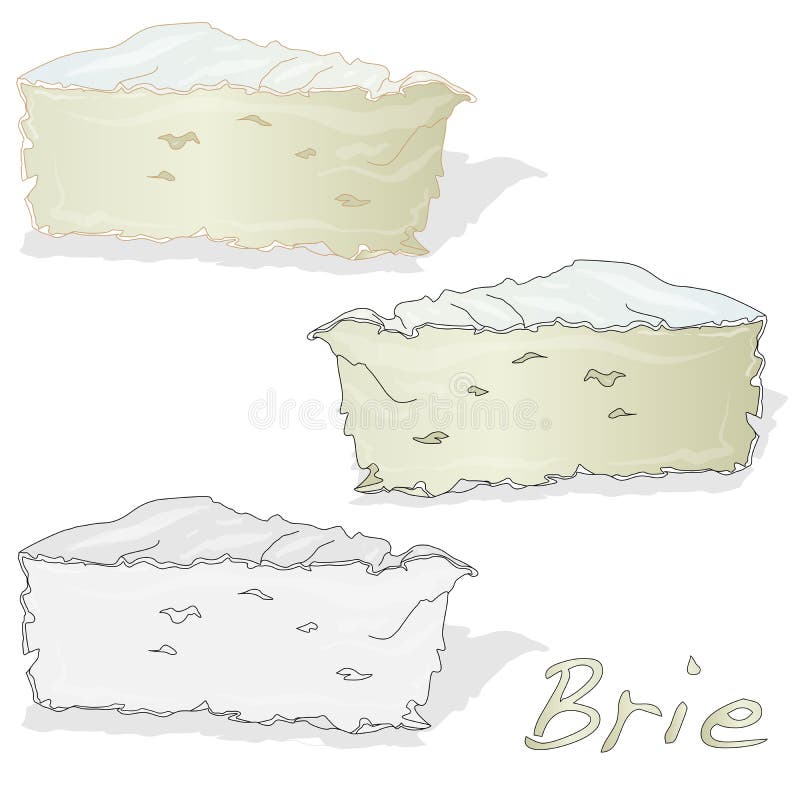 Brie Cheese Vector Isolated Stock Vector - Illustration of cuisine ...