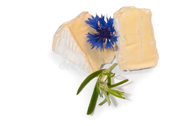Brie stock photo. Image of herb, isolated, appetizer - 42029414