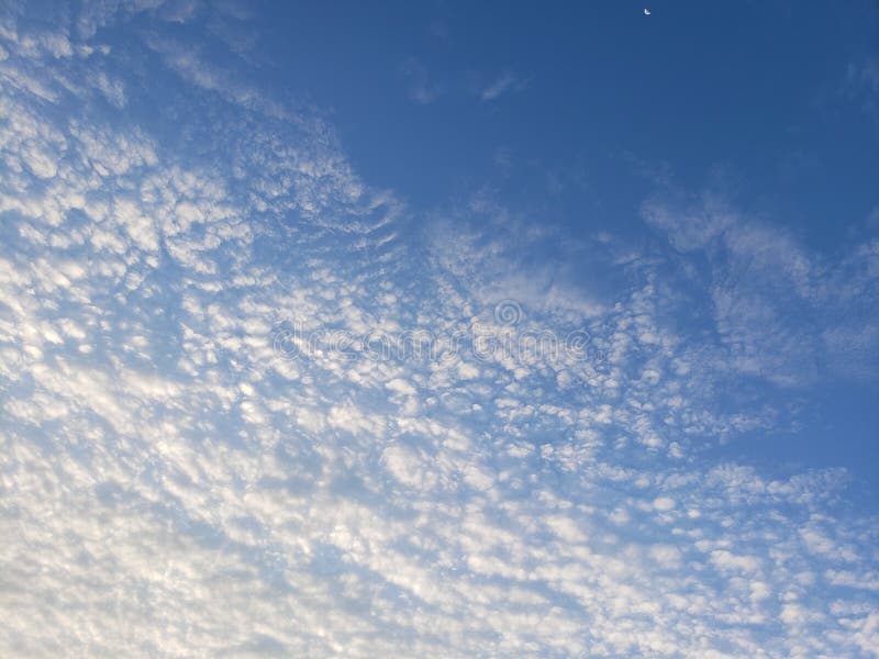 Bright and Airy Atmosphere Clear Blue Sky Filled with Cotton Clouds ...