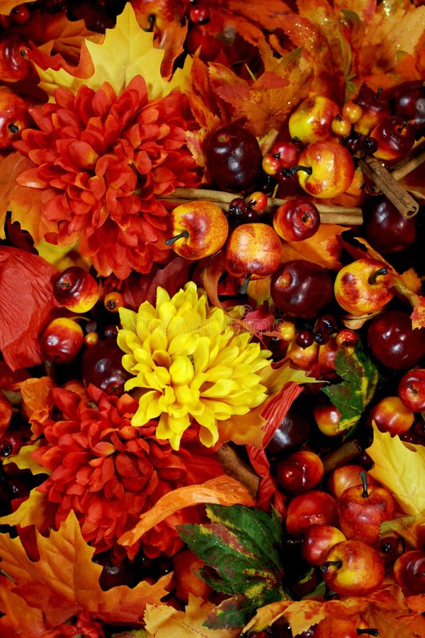 Bright autumn scenery stock image. Image of land, colors - 3353659