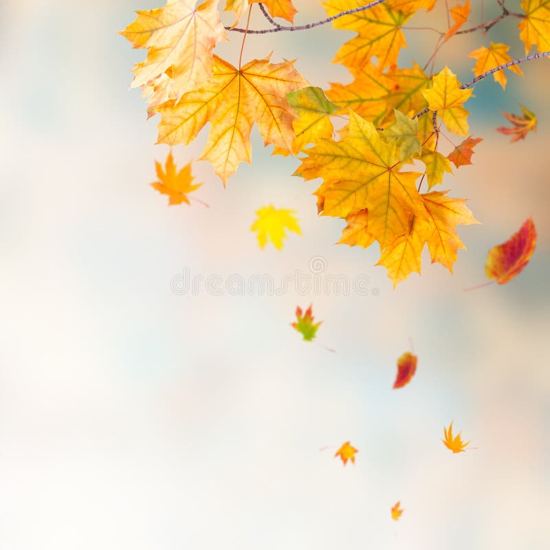 Bright autumn background stock image. Image of abstract - 41782991