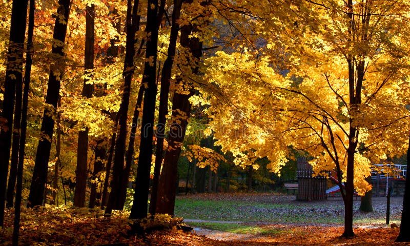 Bright autumn colors stock photo. Image of bright, bench - 10858498
