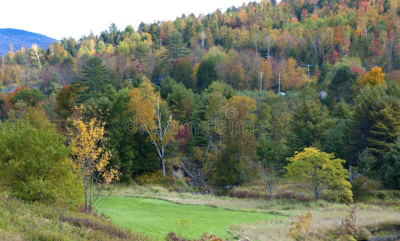 Bright Autumn Colors stock image. Image of colours, autumn - 11337643