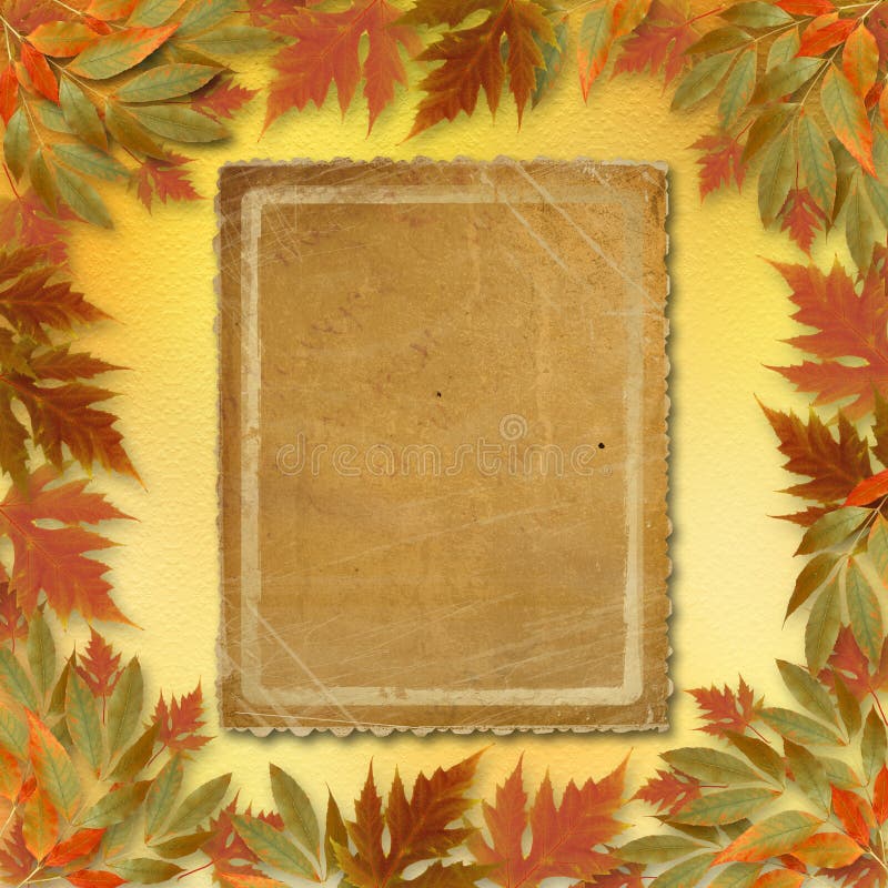 Bright Autumn Leaves with Paper Frame Stock Illustration - Illustration ...