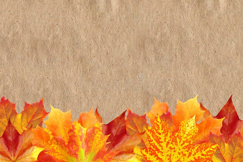 Bright Autumn Maple Leaves Over Old Paper Texture Stock Photos - Free ...