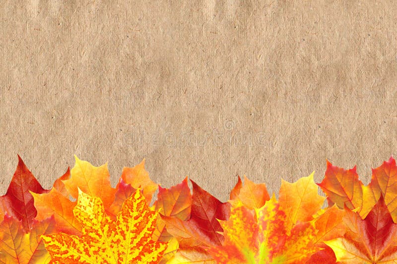 Bright Autumn Maple Leaves Over Old Paper Texture Stock Image - Image ...