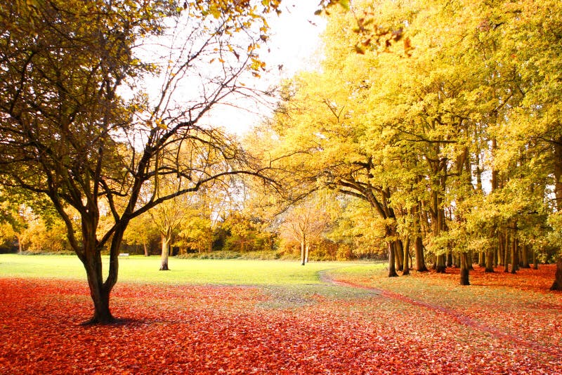 Bright autumn scenery stock image. Image of land, colors - 3353659