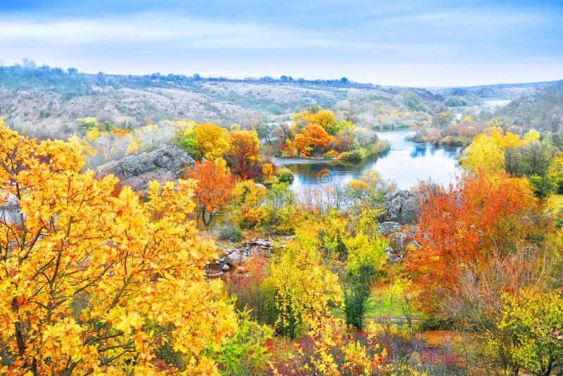 Bright Autumn Trees on the Bank of Stream Stock Photo - Image of leaf ...
