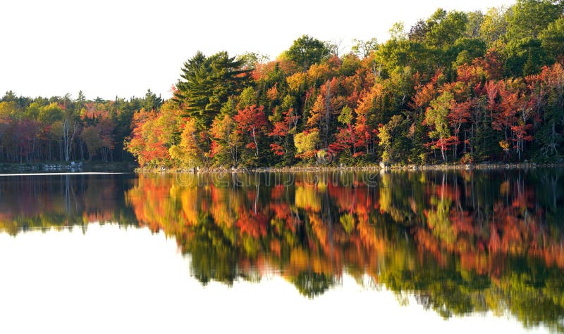 Bright Autumn Trees Reflected in a Lake Stock Image - Image of orange ...